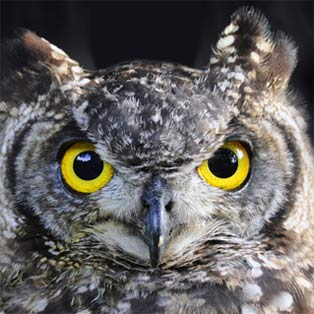 rgbstock.com - free stock photos